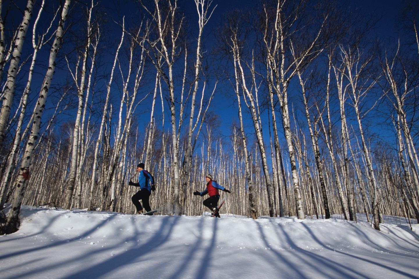 Snowshoeing | Lutsen Mountains